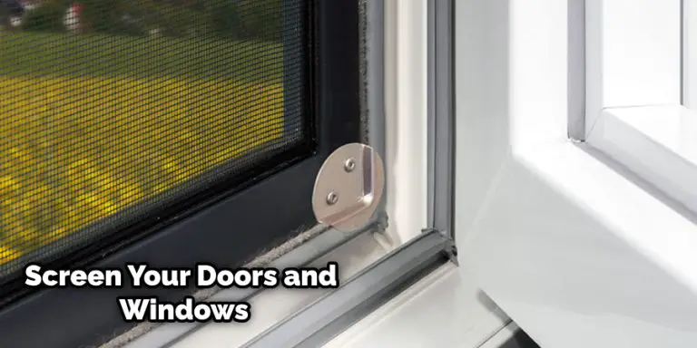 How to Keep Gnats from Coming Through Screen -Easy Process ...