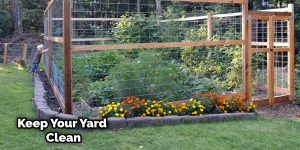 How to Stop Rats Digging Under Fence -Easy Process Theindoorsolution