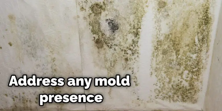 How to Tell if There Is Mold in Your House - Detailed ...
