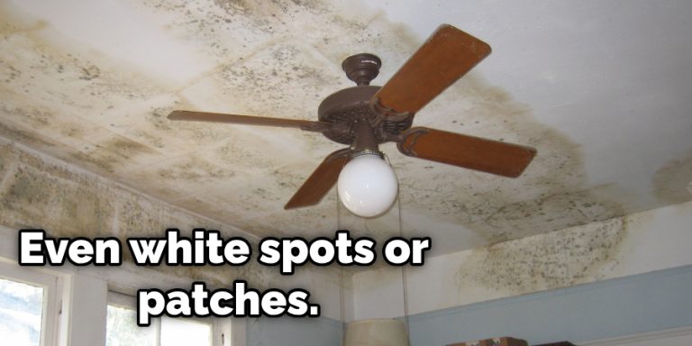 How to Tell if There Is Mold in Your House - Detailed ...