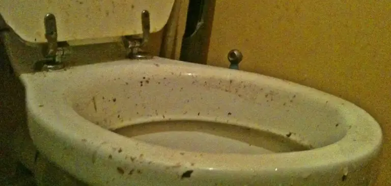 How to Easily Remove Dried Poop from the Toilet Bowl: Tried and Tested ...