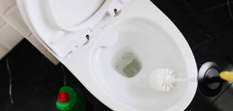 How to Easily Remove Dried Poop from the Toilet Bowl: Tried and Tested ...