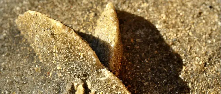How to Separate Gold from Sand at Home: Expert Techniques Revealed ...